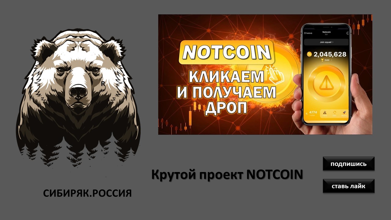Проект от телеграмма Notkoin