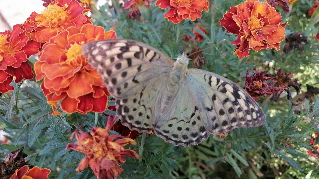 Красоты и настроения!