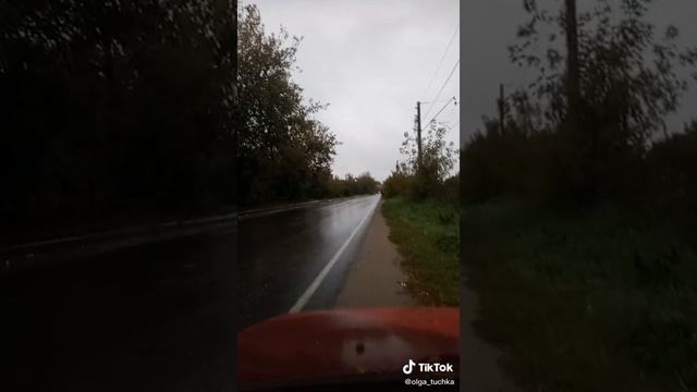 тишины