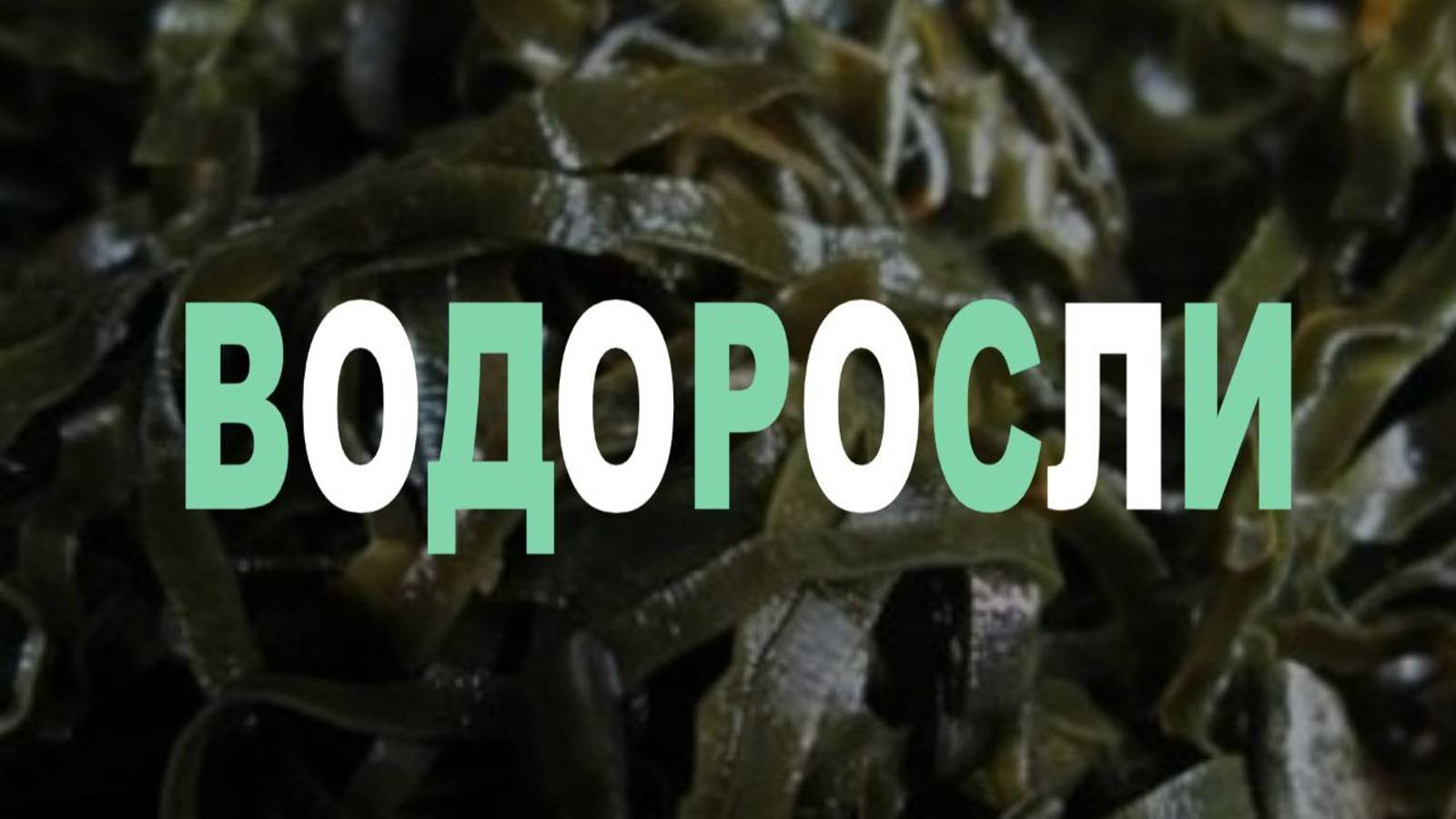 Про водоросли