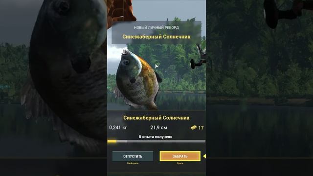 СИМУЛЯТОР РЫБАЛКИ ЗА МИНУТУ! ✅ Краткое прохождение игры "Fishing Planet" - 1 серия. #Shorts