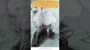 Кошечки и Шуточки! (14)