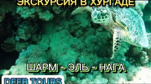 Экскурсия в Хургаде. Заповедник Шарм-Эль-Нага. Deebtours24.online