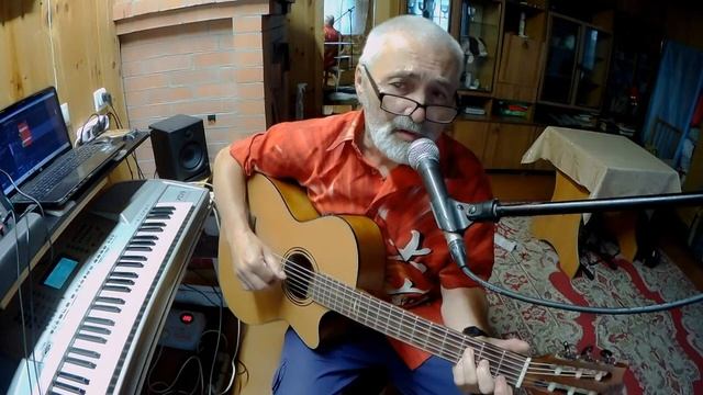 Васильки.  Кавер.гитара