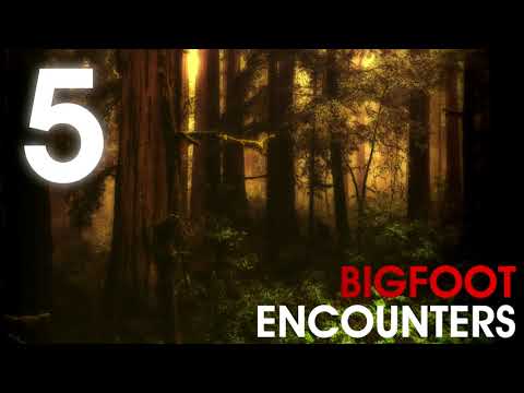 5 TRUE SCARY BIGFOOT ENCOUNTERS (Sasquatch, Bigfoot) - What Lurks Beneath