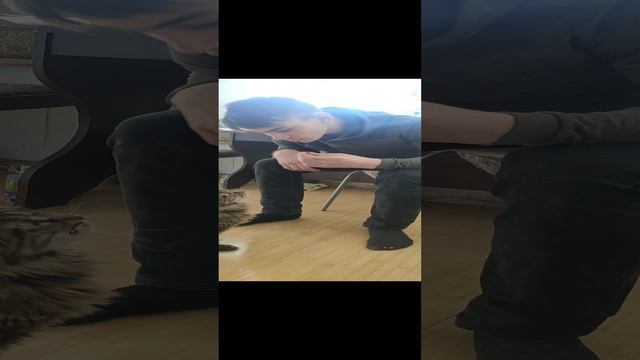 Сакри против Гоши