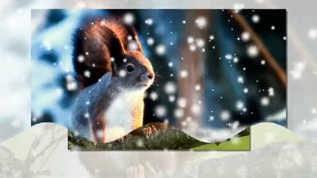 Белочка 2019 года 12