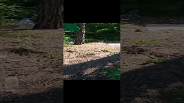 Обречённые