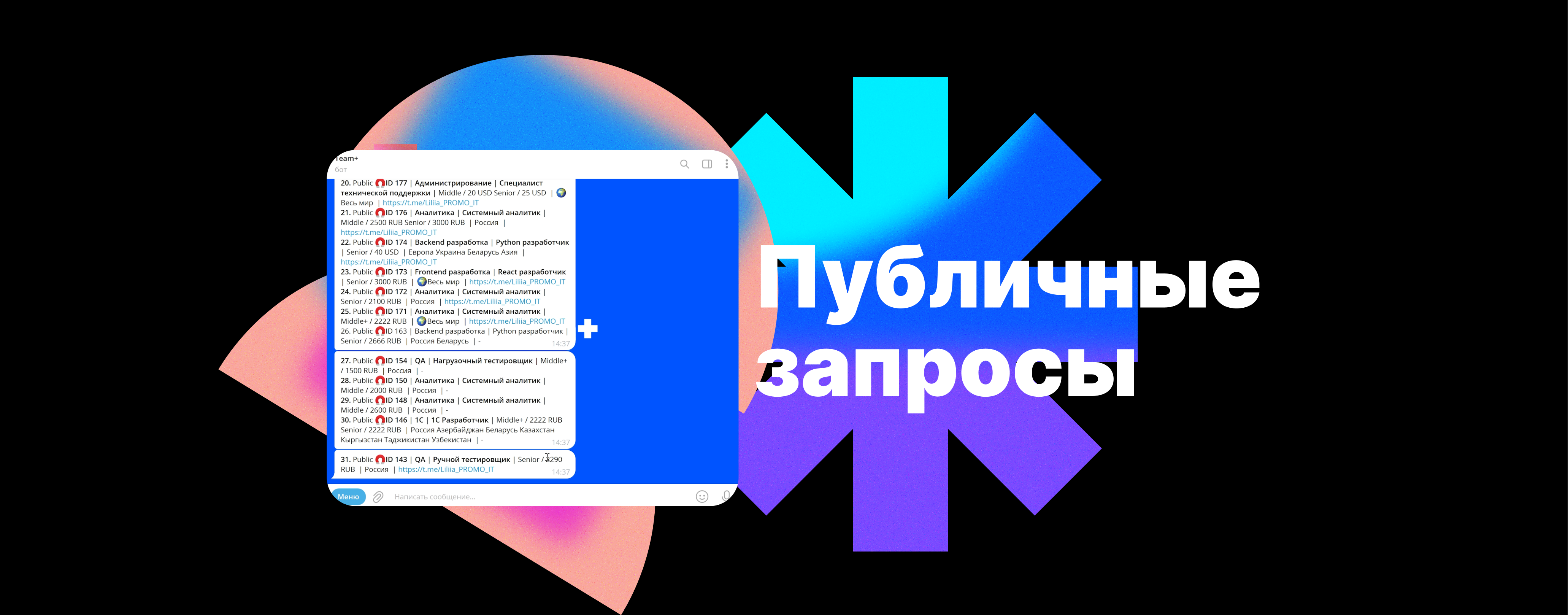 Публичные Запросы в team+