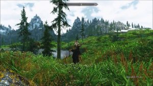 Skyrim (mod)