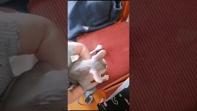 Вот любишь ее... А она сопротивляется🤣🤣🤣🤣🤣👿