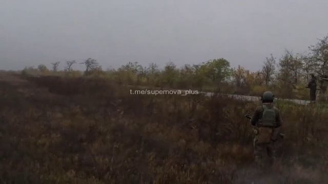 2_5393191623293151445.mp4