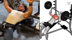 Top 12 Chest  Workouts  at gym  chest  workout