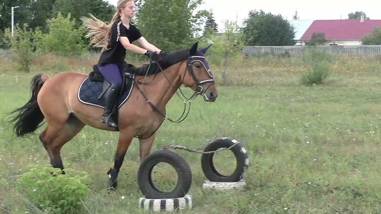 Лошадь. Попрыгушки-  гоняем по поляне (деревенский конкур)/Jumping - we race around the clearing