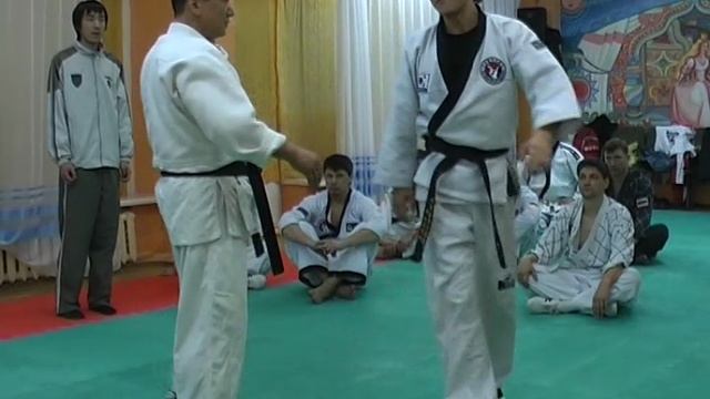 4. 1 семинар по хапкидо в России ГМ Ким Нам Джи - Москва