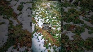 Они самые несчастливые...