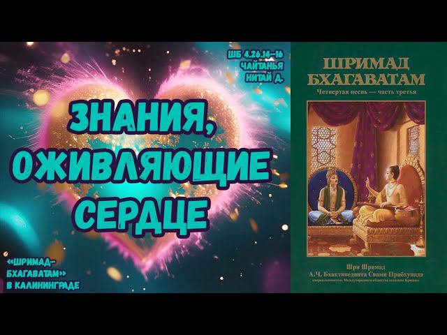 Знания, оживляющие сердце. Чайтанья Нитай д. ШБ.4.26.14–16