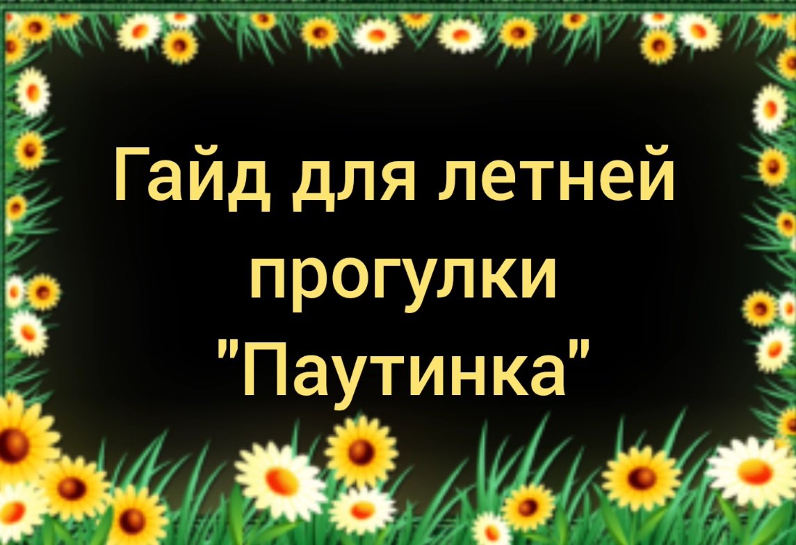 Гайд для летней прогулки "Паутинка"