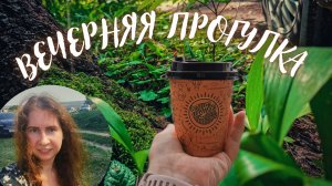 Вечерняя прогулка