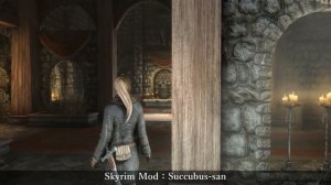 【Skyrim Mod】 Succubus-san ｜PC ＆ Xbox ｜  スカイリム Follower Mod