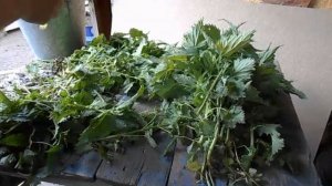 Витамины для кур.