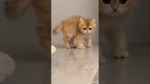 Я ВЕРНУЛСЯ! ПОДПИШИСЬ