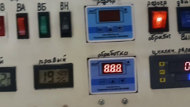 Обработка 2023. Улей № 8.