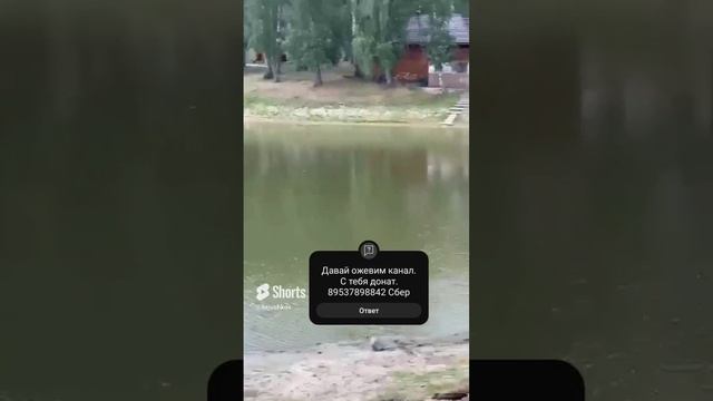 Вот и лето прошло а мы без колес? (1)