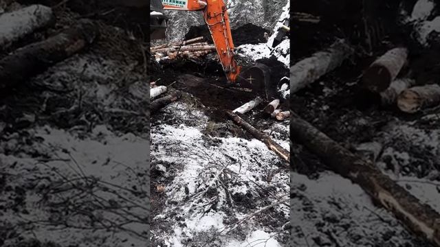 Болотный экскаватор DOOSAN DX 225 LCA подкладывает брёвна, чтобы вытащить ХАРВЕСТЕР из трясины