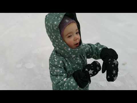 2020_11_22 Девочка, а ты чайку не видела тут