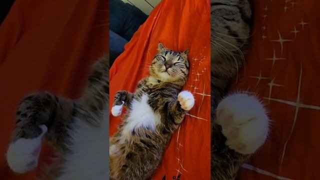 Я просто лежу с закрытыми глазами...