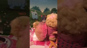 Музыкальная собачка на поводке