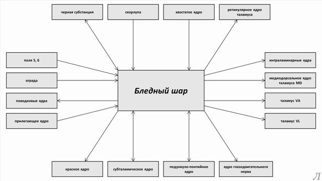 11.3 Подробное разъяснение. Бледный шар