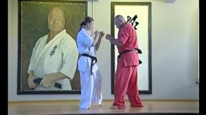 12 уроков с Леной Воробьевой.12 lessons kyokushinkai Elena Vorobyova.mp4