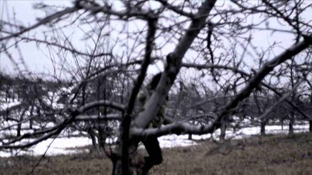 Hammock - Mono No Aware.avi