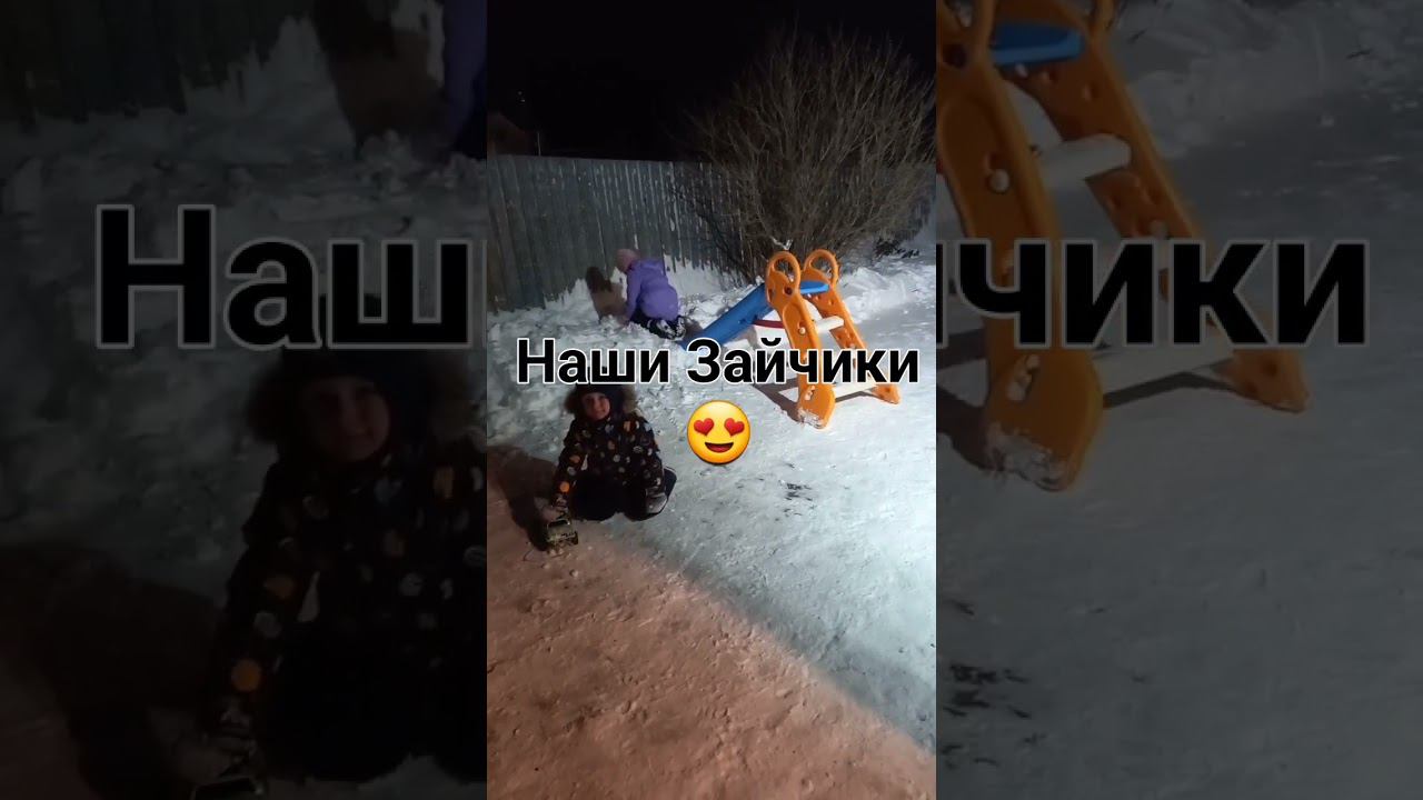 Наши зайчики