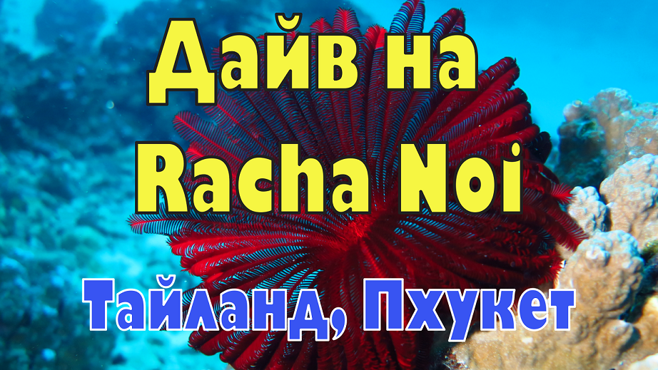 Тайланд, Пхукет - Racha Noi. Дневной дайв(ноябрь 2019). Phuket - Racha Noi(november 2019).
