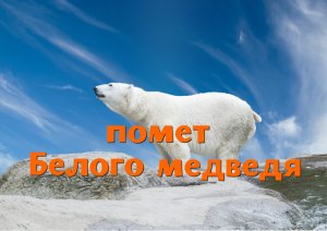 The Hunter classic(помет Белого медведя)