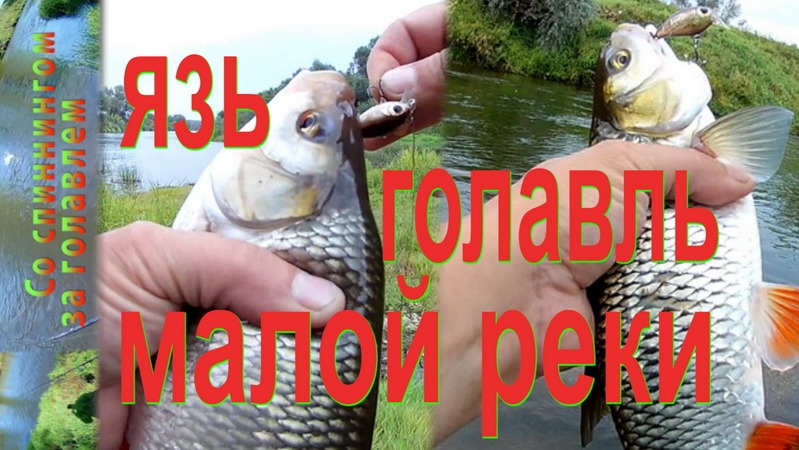 Осень.Спиннинг.Рыбалка на спиннинг на перекате в сентябре.