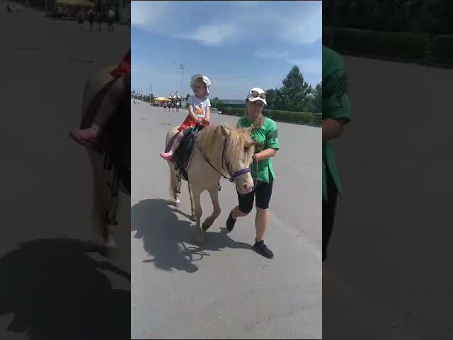 Доча на лошадке впервые)