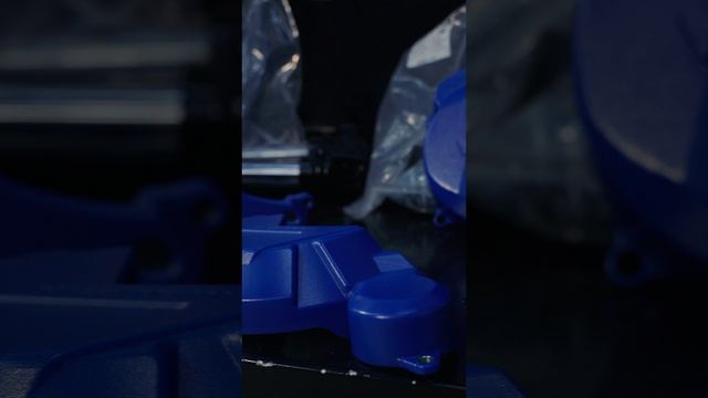 ДанязащитыОТОМ4k