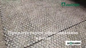 Натурные испытания газонной решётки Hexarm от Standartpark