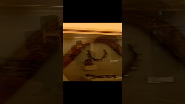 20220521_201502.mp4