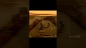 20220521_201502.mp4