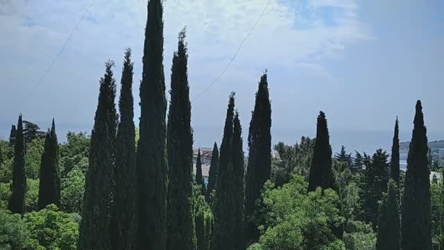 Виды Крыма