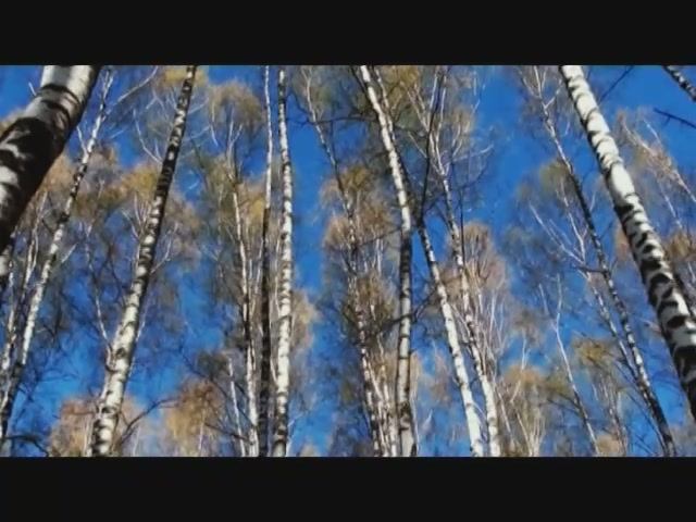 Время зелёной пыльцы