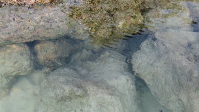 Hanimaadoo