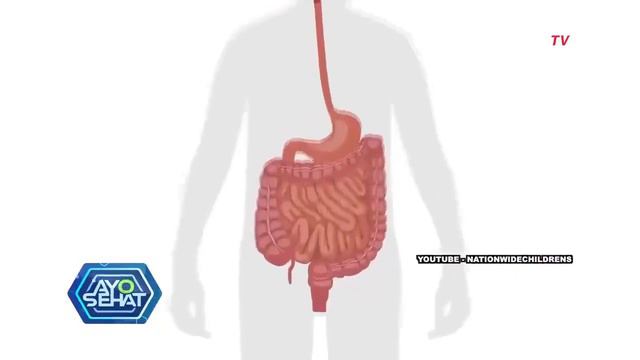 Waspada! Nyeri Perut Bisa Jadi Tanda-Tanda Kamu Mengalami Radang Usus ...