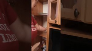 Уборка к новому году, кошки в помощь ??
