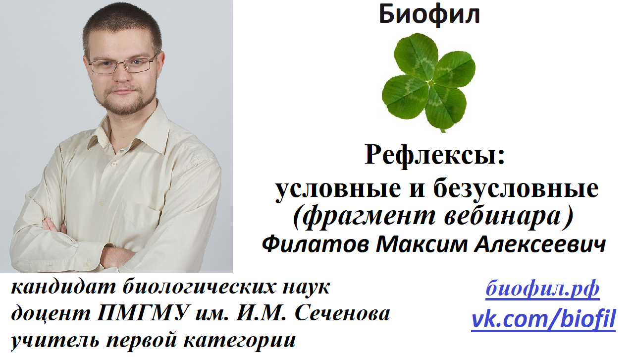 Условные и безусловные рефлексы || Биофил. Подготовка к ЕГЭ, ОГЭ, ЦТ и ЕНТ по биологии.
